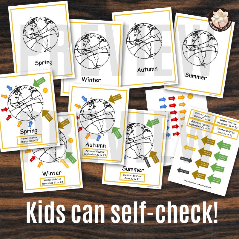 Seasons Earth Science Sun and Earth Diagrams and Booklet, Activities ...