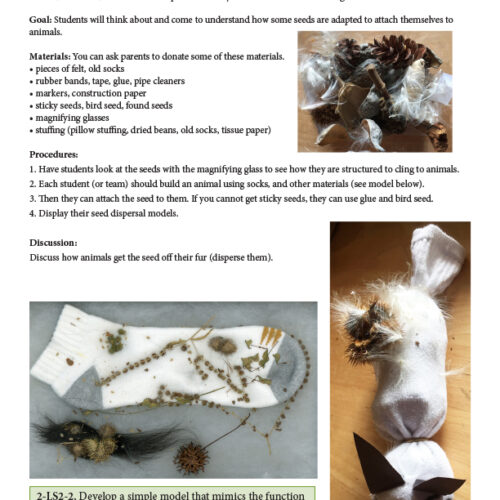 Plant Pollination and Seed Spreading - Interdependent Relationships in ...