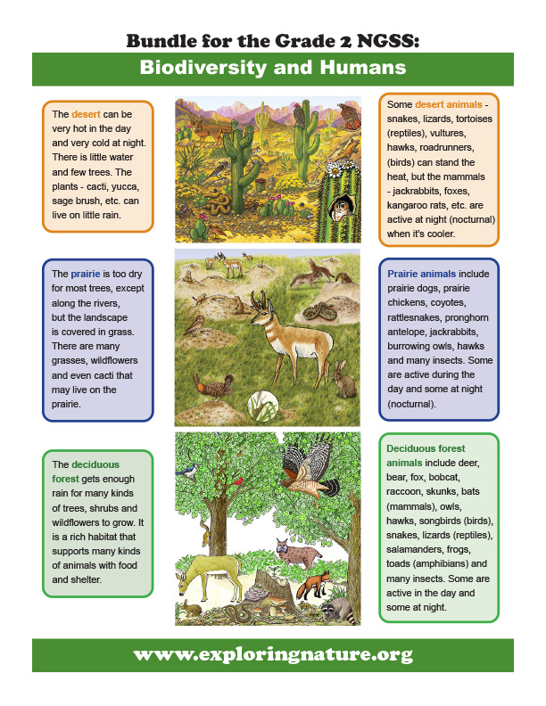Habitat Studies - Biodiversity and Humans - Grade 2 - Downloadable ...