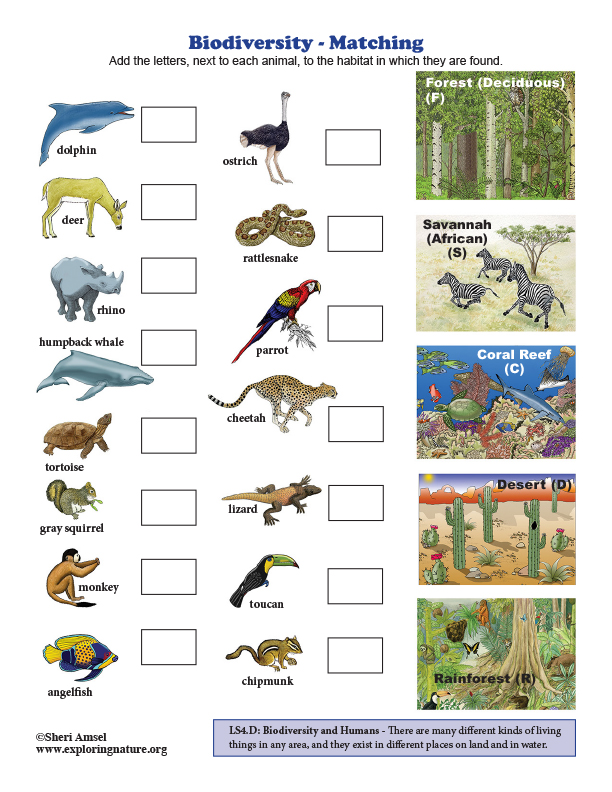 Habitat Studies - Biodiversity and Humans - Grade 2 - Downloadable ...