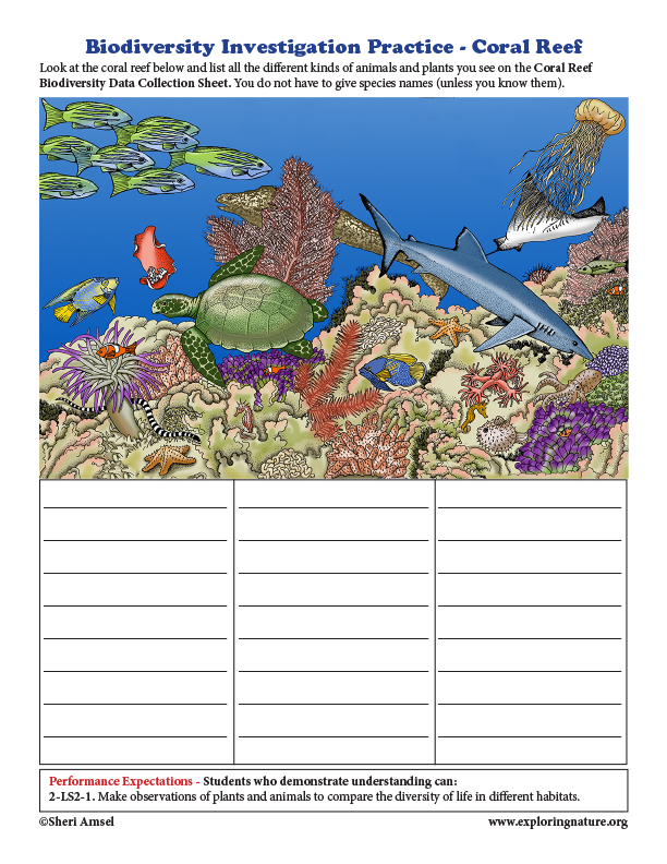 Habitat Studies - Biodiversity and Humans - Grade 2 - Downloadable ...
