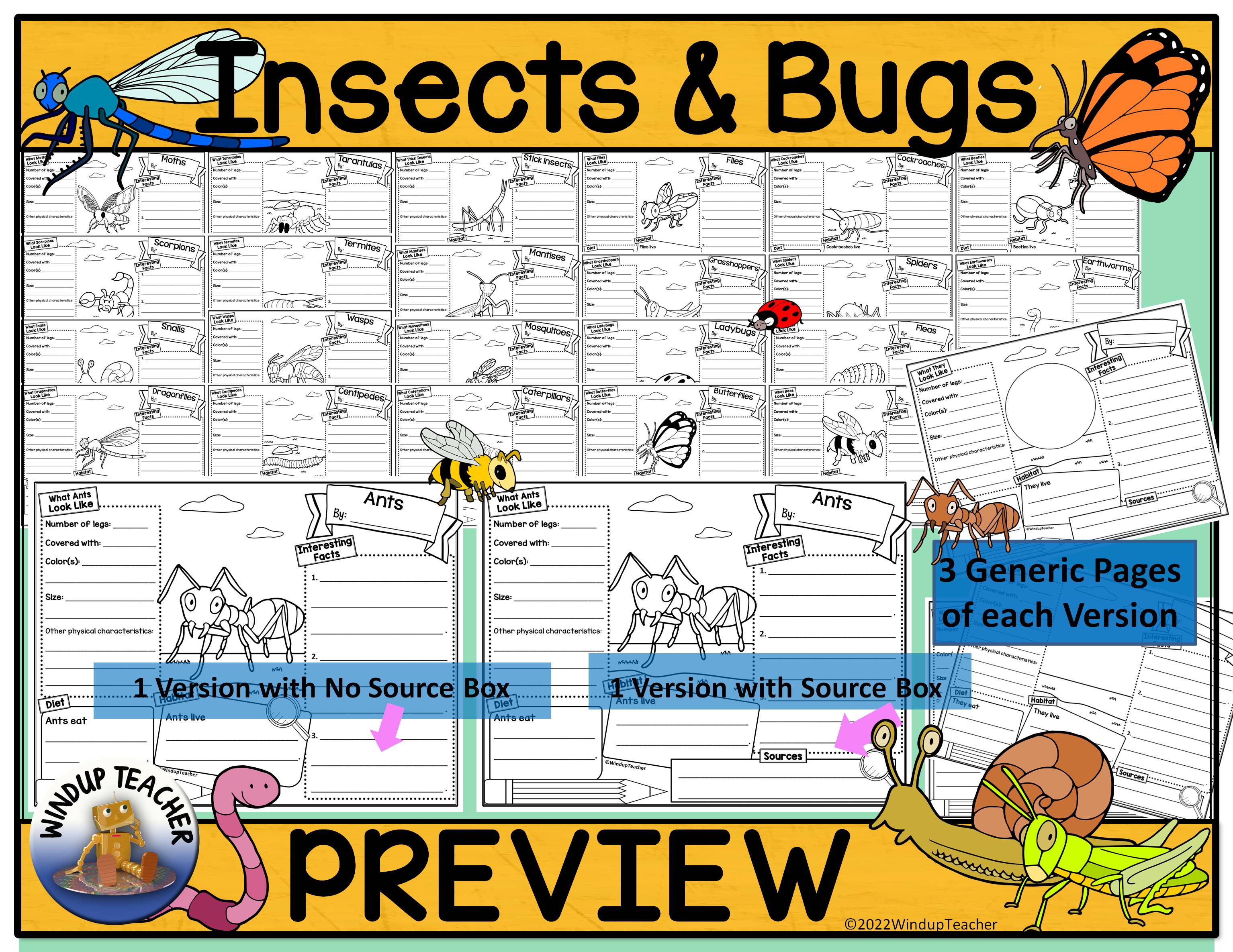 Insects and Bugs Study Research Activity Graphic Organizer - Classful