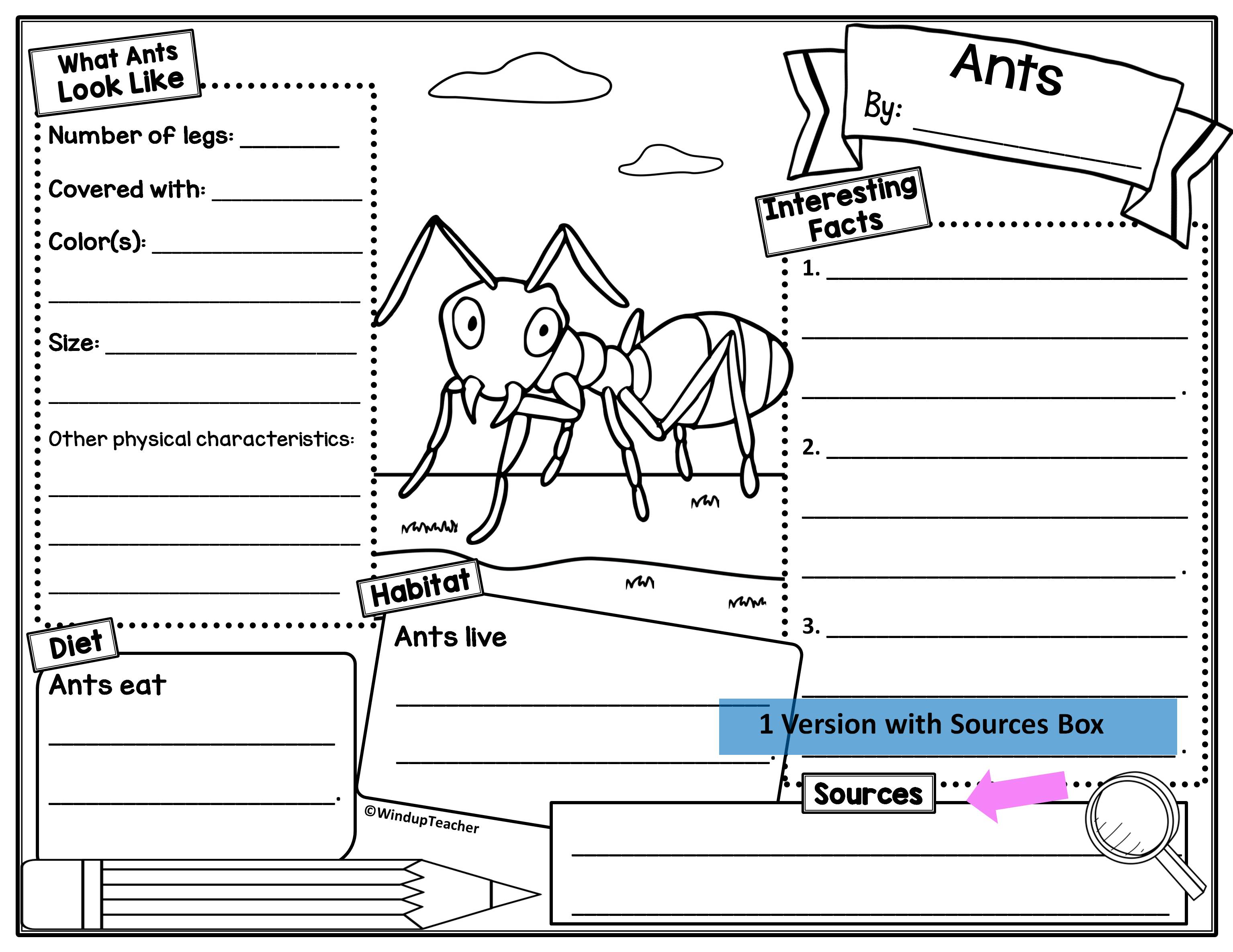 Insects and Bugs Study Research Activity Graphic Organizer - Classful