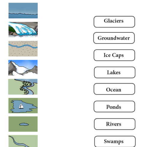 3 Science Bundles for Grade 2 - Plants, Pollination, Biodiversity and ...