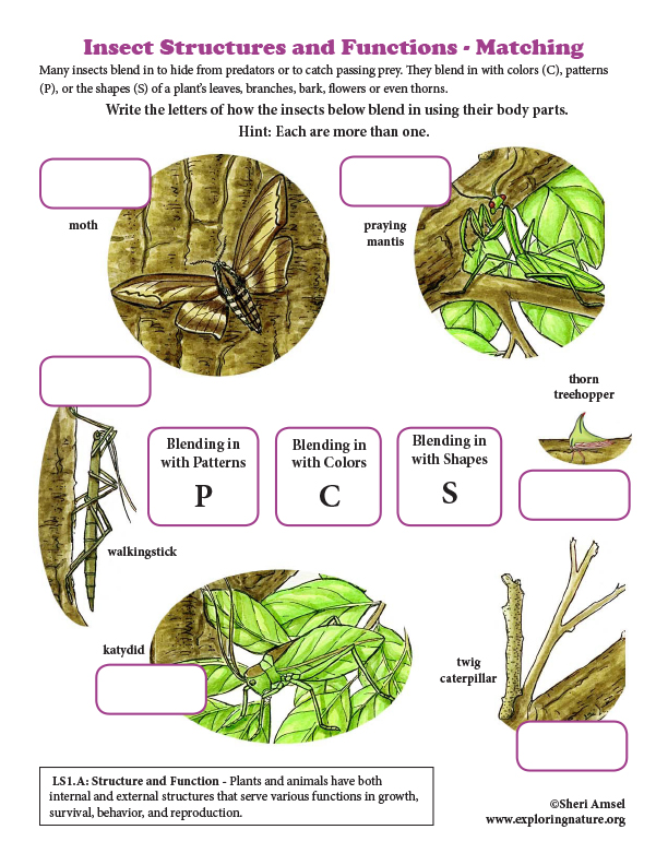 3 Science Bundles for Grade 4 - How Animals Sense the World, Traits ...