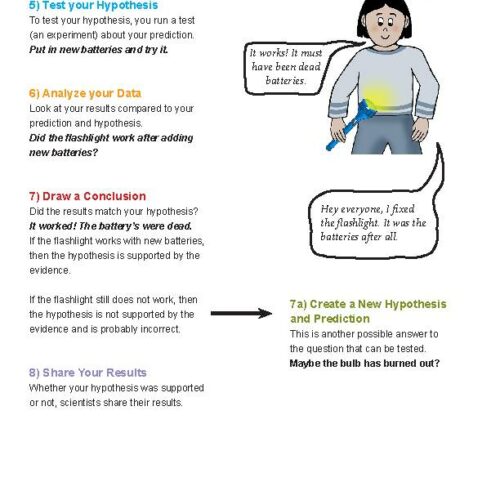 Scientific Method - An Example, Explanation, and Mini-poster - FREE ...