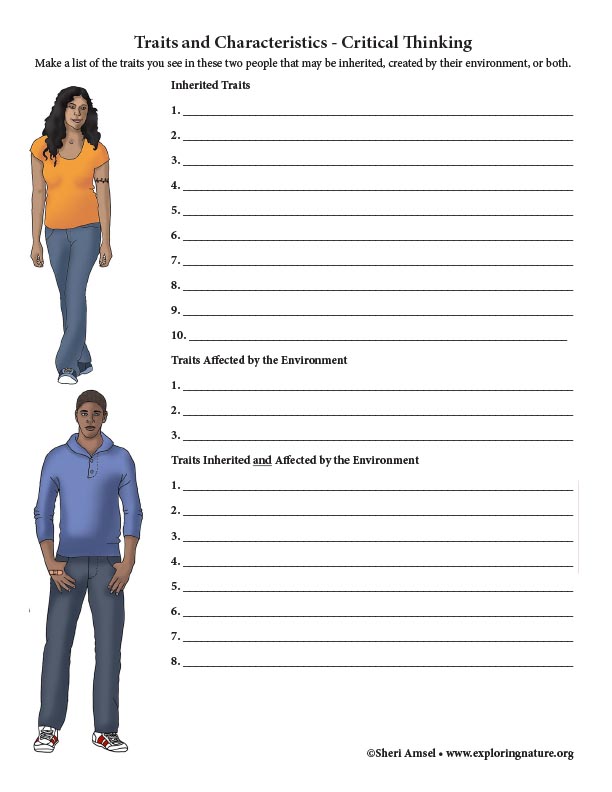 Inheritance, Variation of Traits, Structure and Function - Grade 9-12 ...