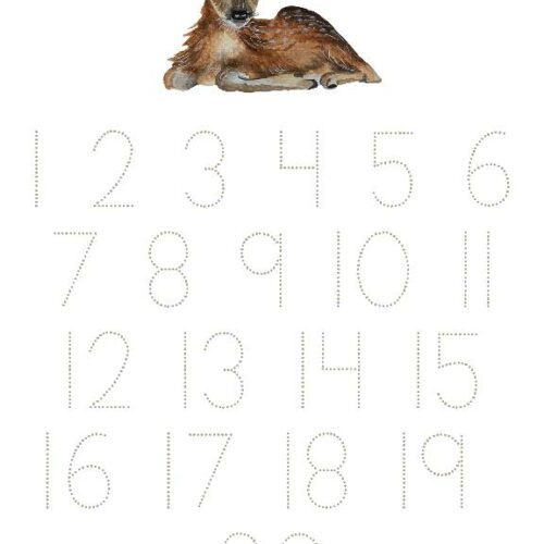 Montessori Tracing Sheets, Shapes, Numbers, Alphabet, Preschool, Pre-K ...