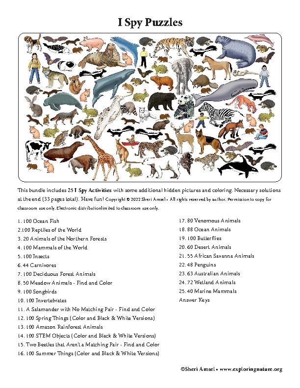 Spy Bundle- Animals, Habitats, Seasons, and STEM Objects - Downloadable ...