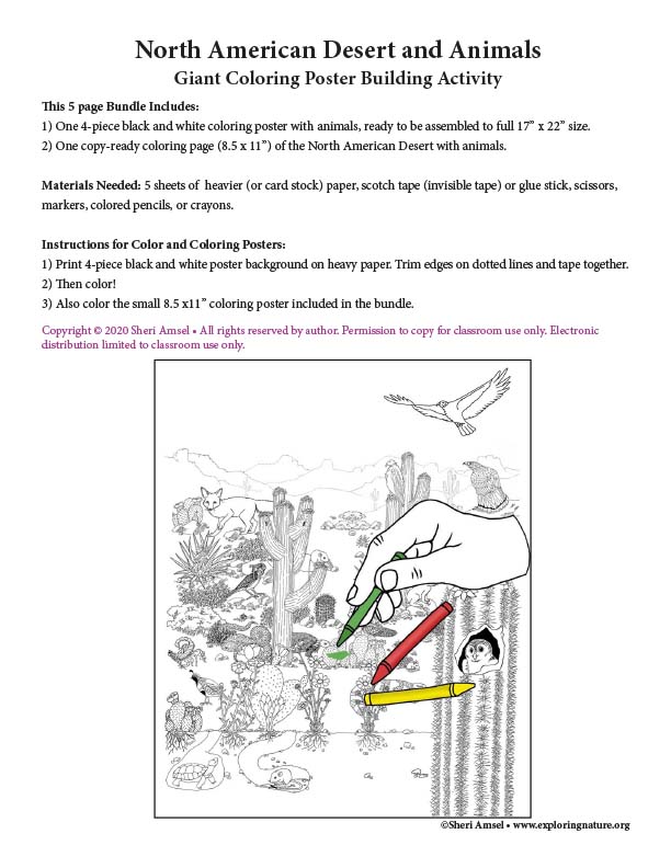 North American Desert- Build Giant COLOR and COLORING Posters - Classful