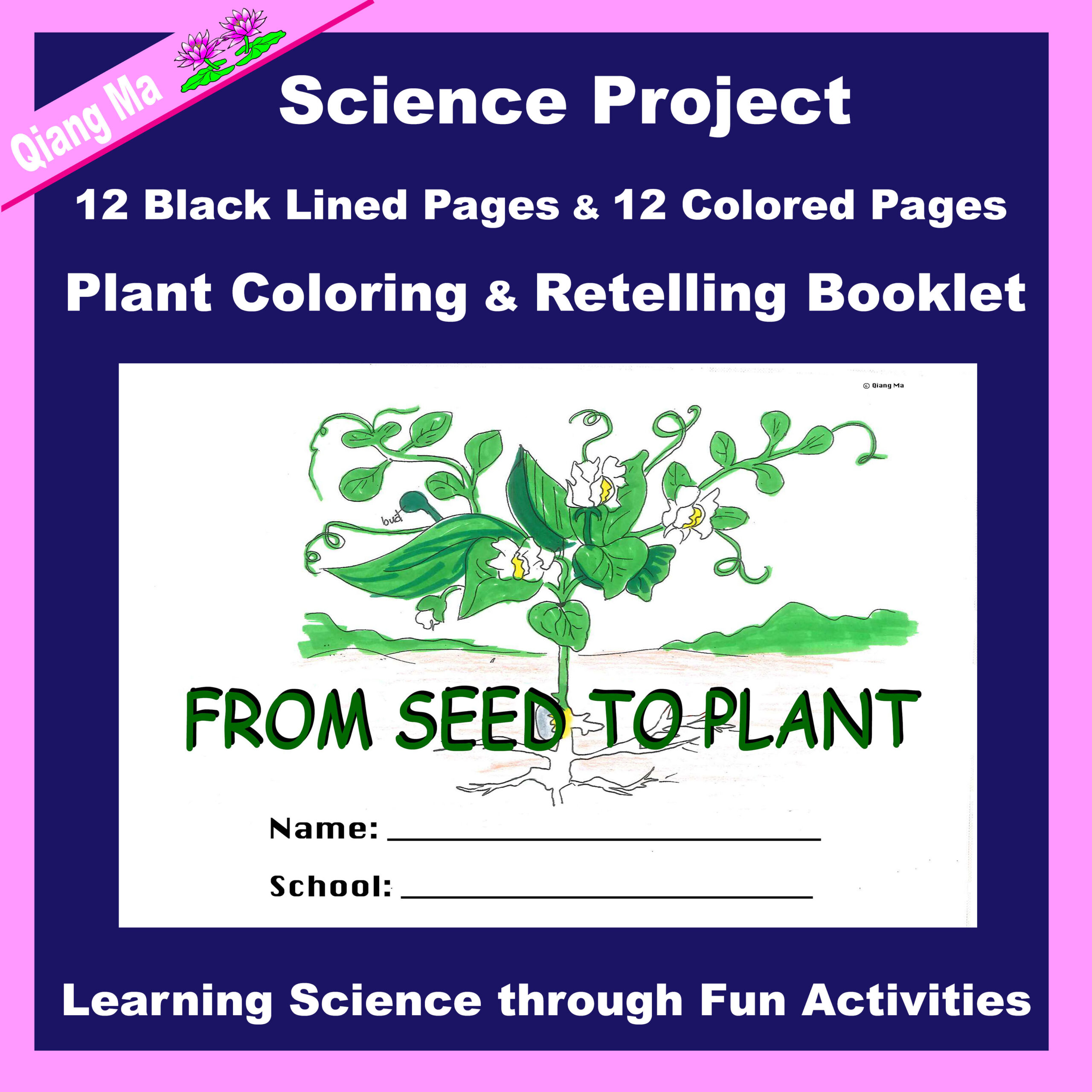 Science Project- Plant Booklet- From Seed to Plant - Classful