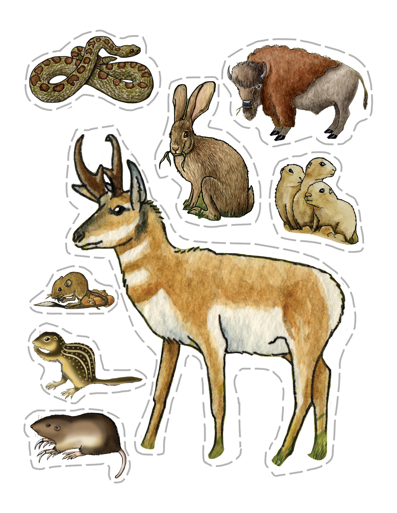 North American Prairie- Build Giant COLOR and COLORING Posters - Classful