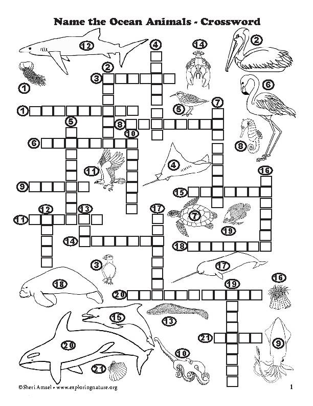 Ocean Animals and Habitats - Activity Bundle - Classful