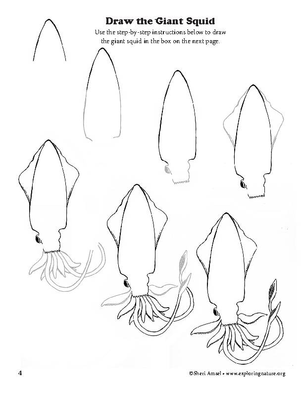 Ocean Animals and Habitats - Activity Bundle - Classful