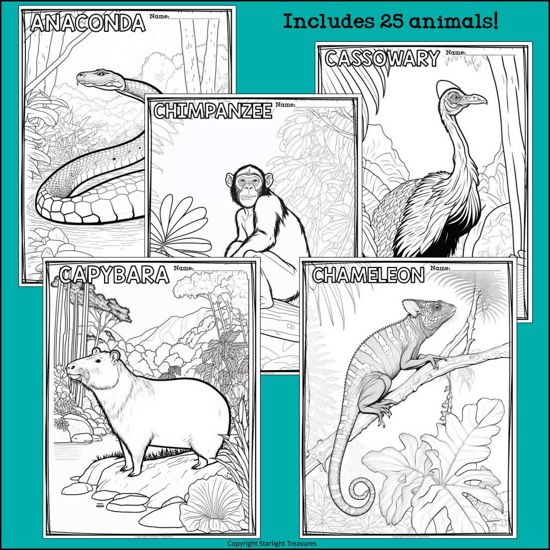 Rainforest Animals Research Posters, Coloring Pages - Animal Research ...