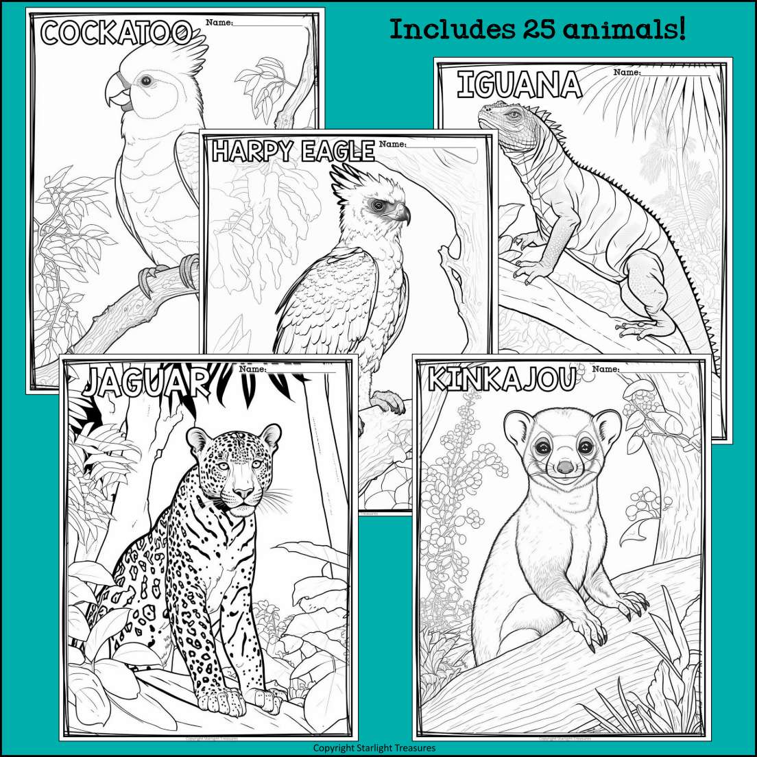 Rainforest Animals Research Posters, Coloring Pages - Animal Research ...