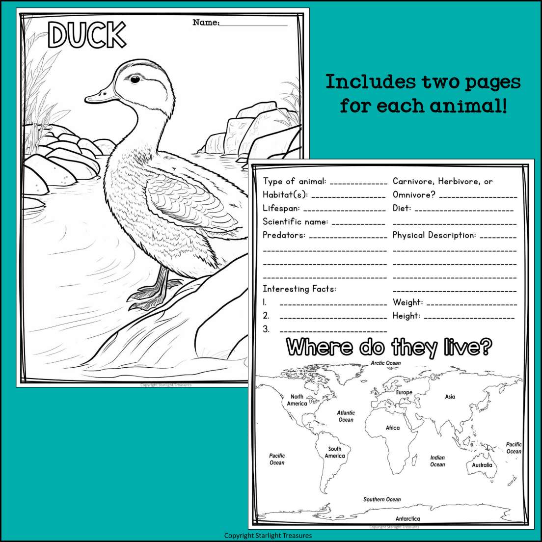 Wetland Animals Research Posters, Coloring Pages - Animal Research ...