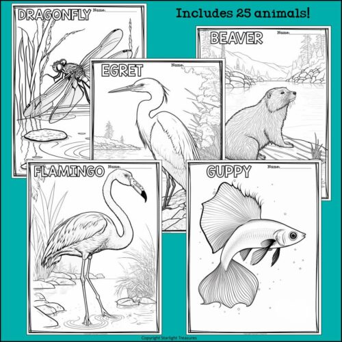Wetland Animals Research Posters, Coloring Pages - Animal Research ...
