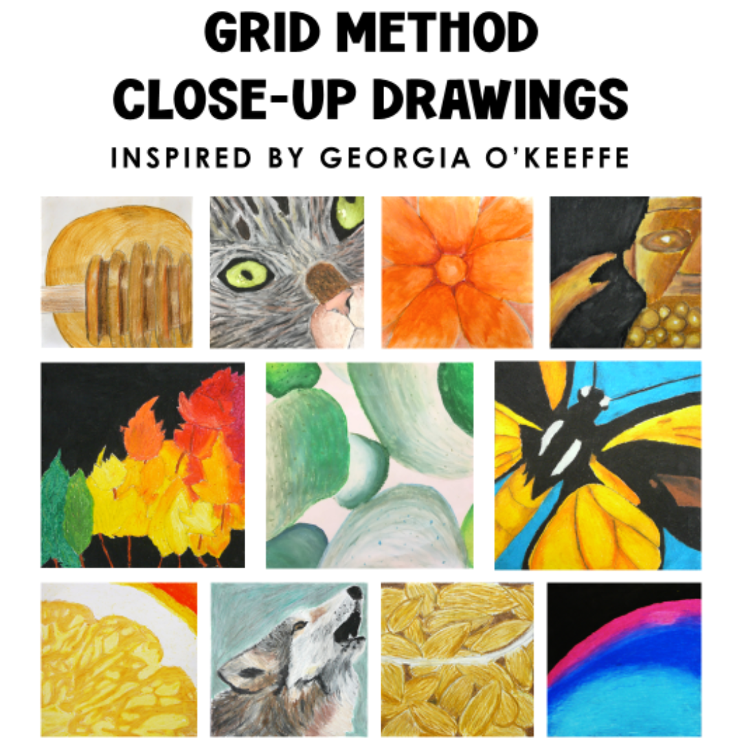 Grid Method Close-Up Art Lesson inspired by artist Georgia O'Keeffe ...