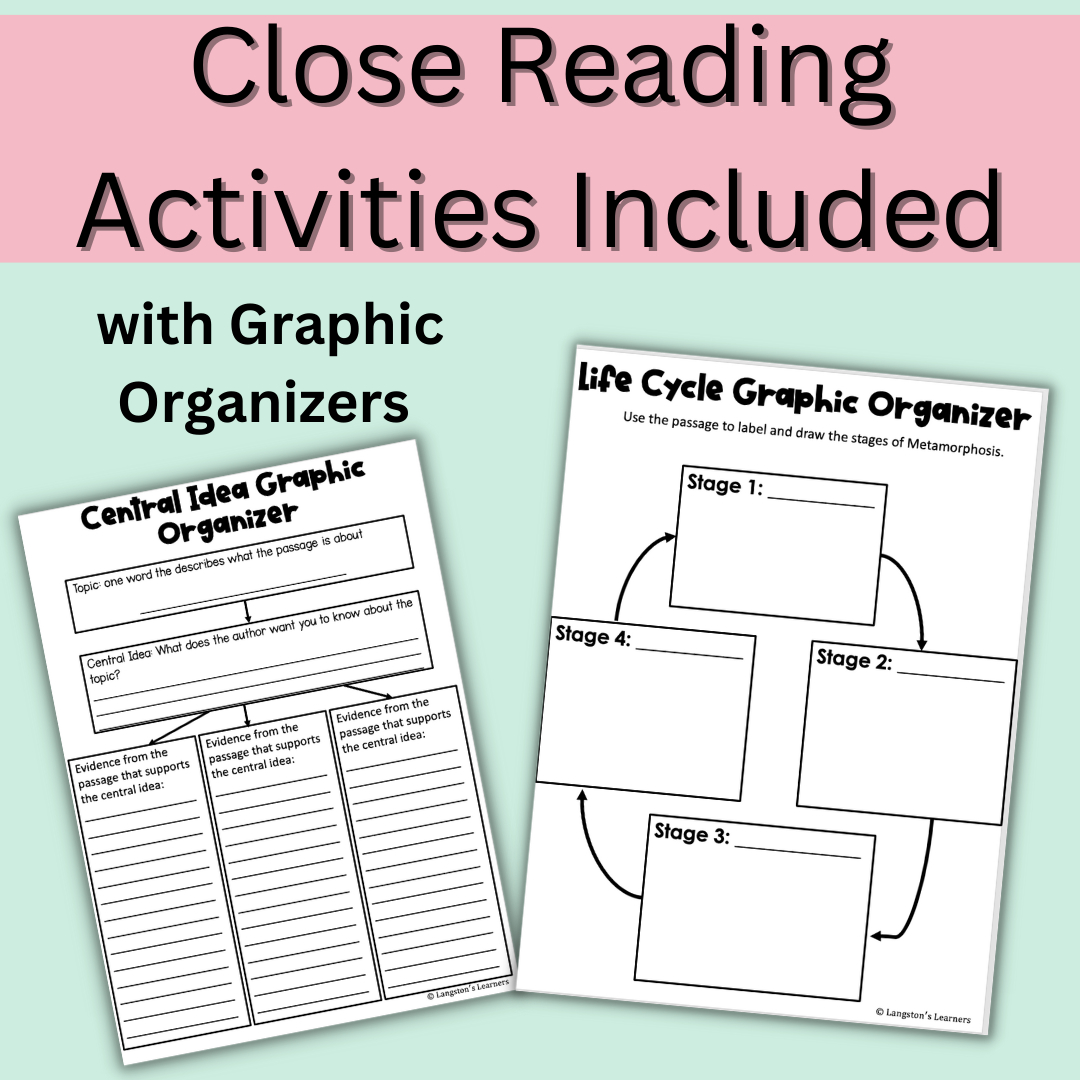 TDA Butterflies Nonfiction Reading Passages (Close Reading Activities ...