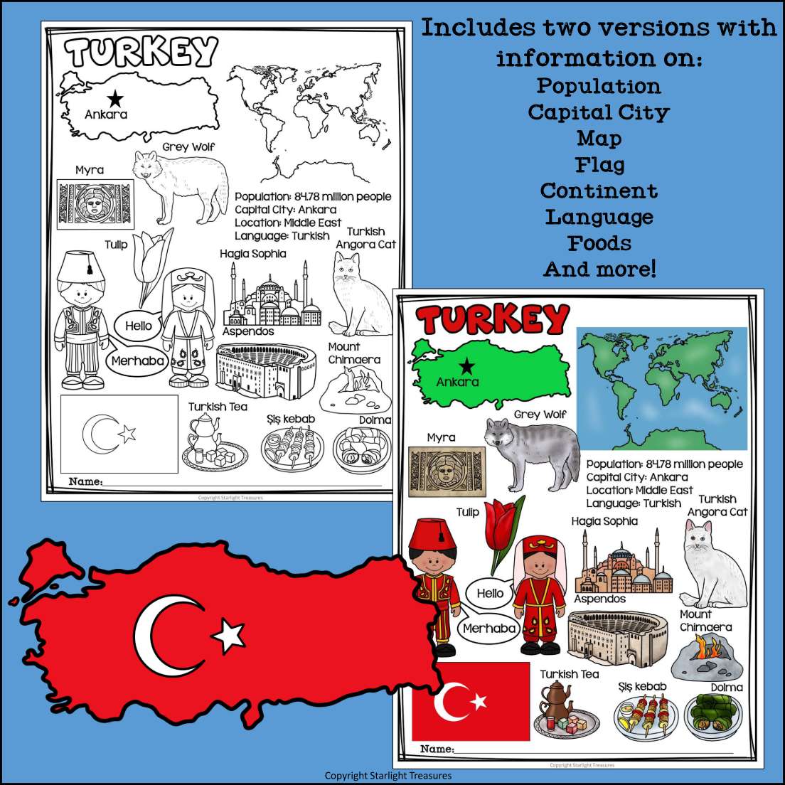 Turkey Fact Sheet for Early Readers - A Country Study - Classful