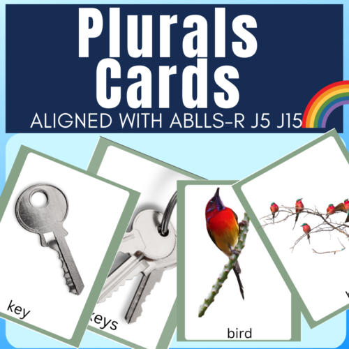 Plural Noun Picture Cards s es ves ies for Aba Autism ABLLS-R J5 J15 ...