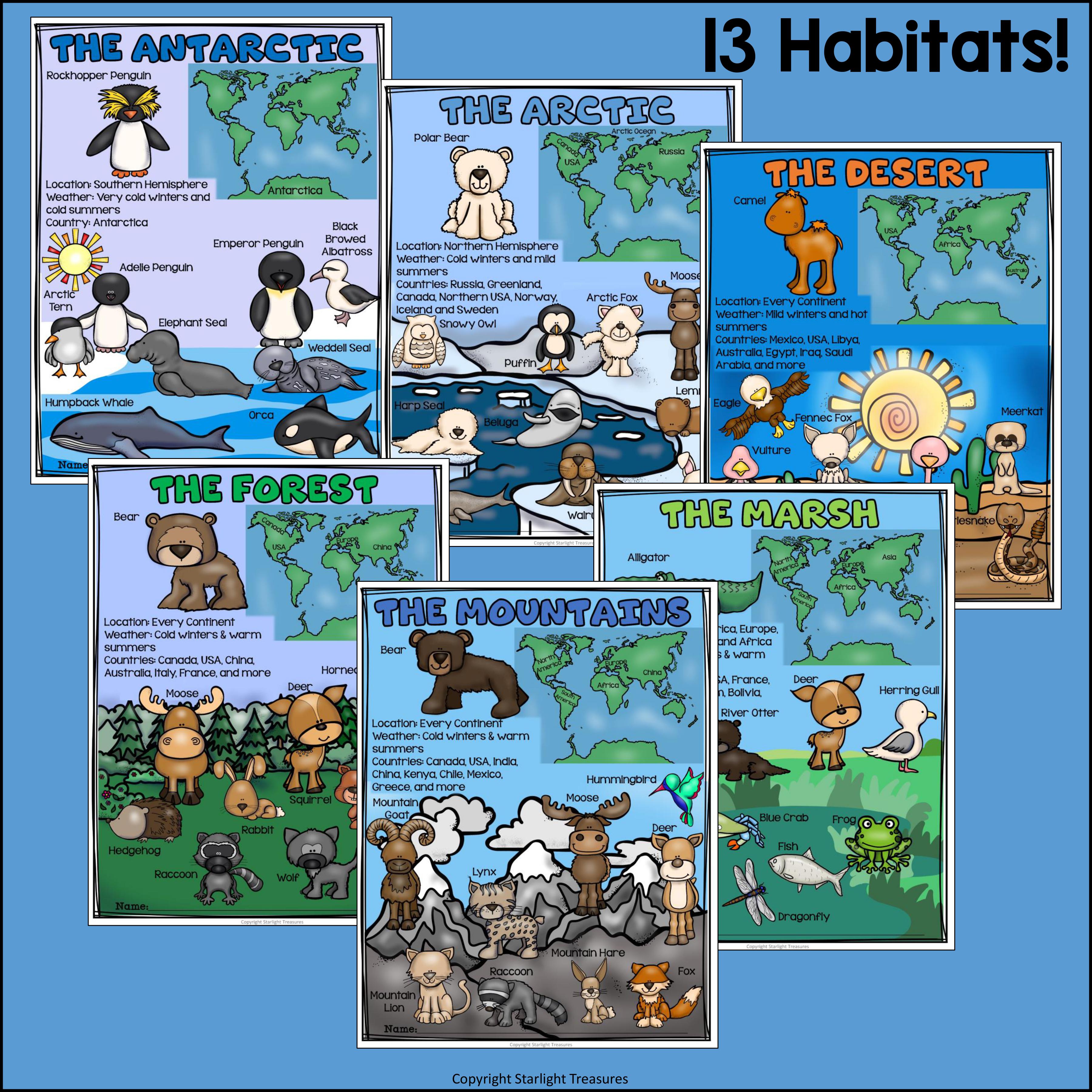 Animal Habitats Fact Sheets- Arctic, Desert, Forest, Ocean, Tundra, and ...