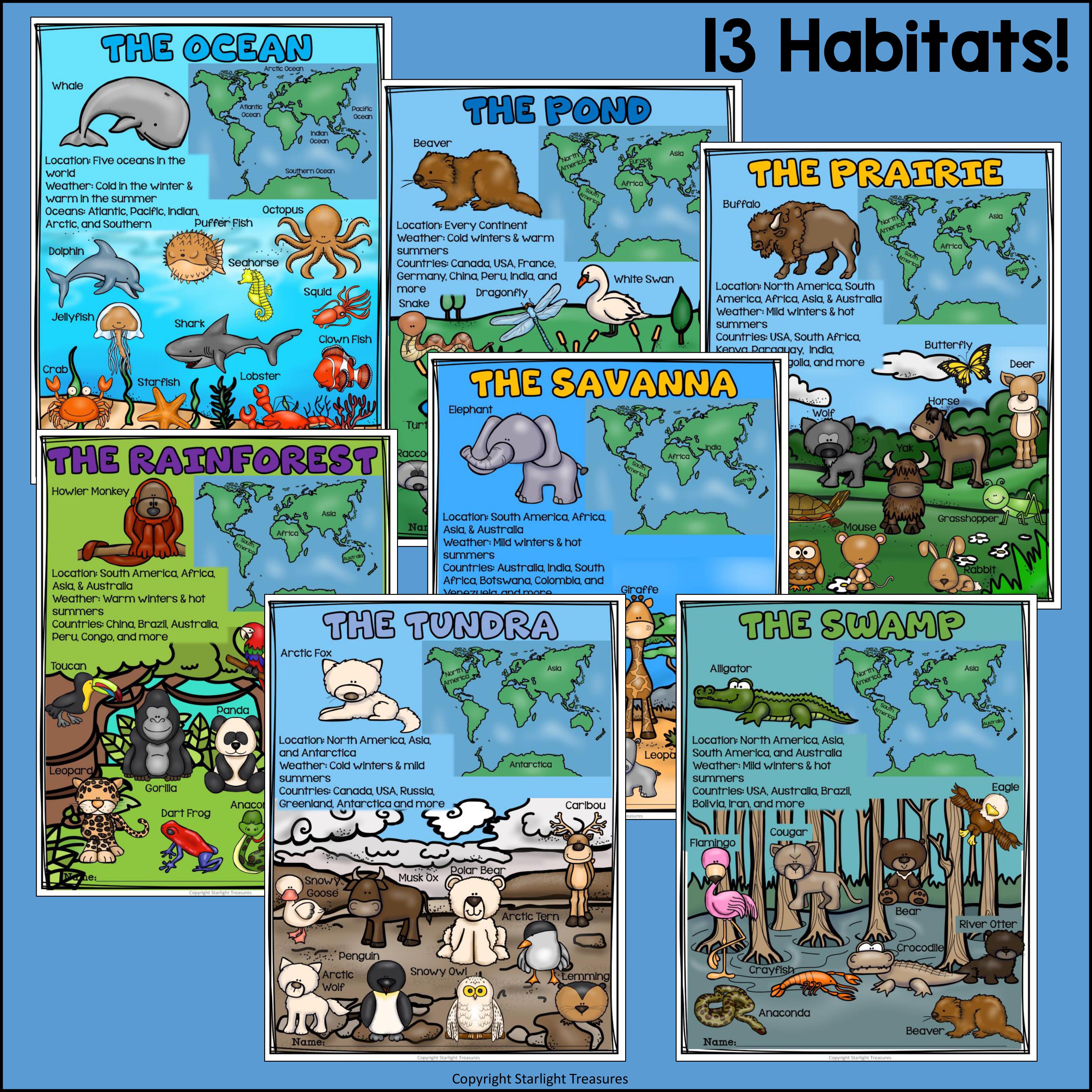 Animal Habitats Fact Sheets- Arctic, Desert, Forest, Ocean, Tundra, and ...