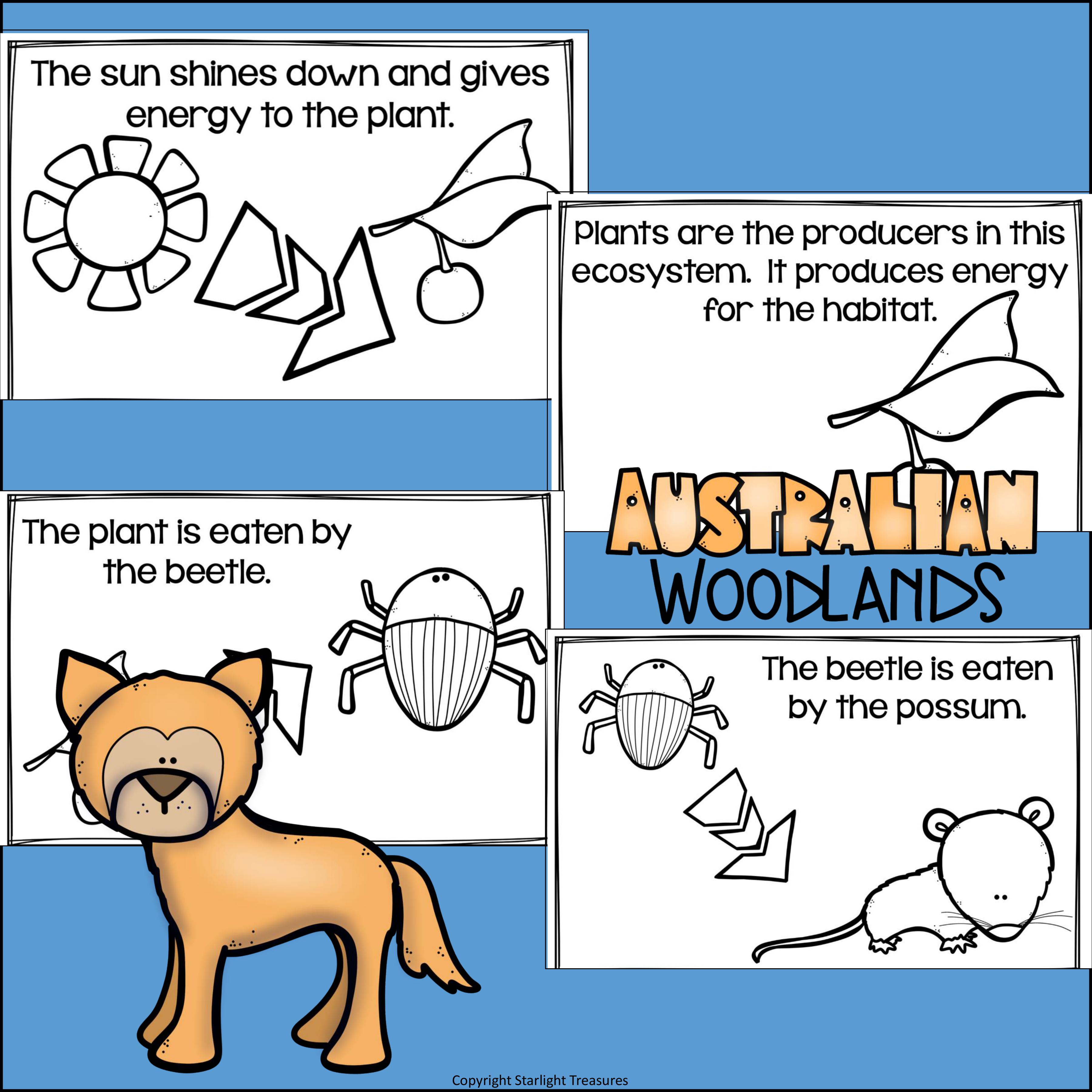 Australian Woodlands Food Chain Mini Book for Early Readers - Food ...