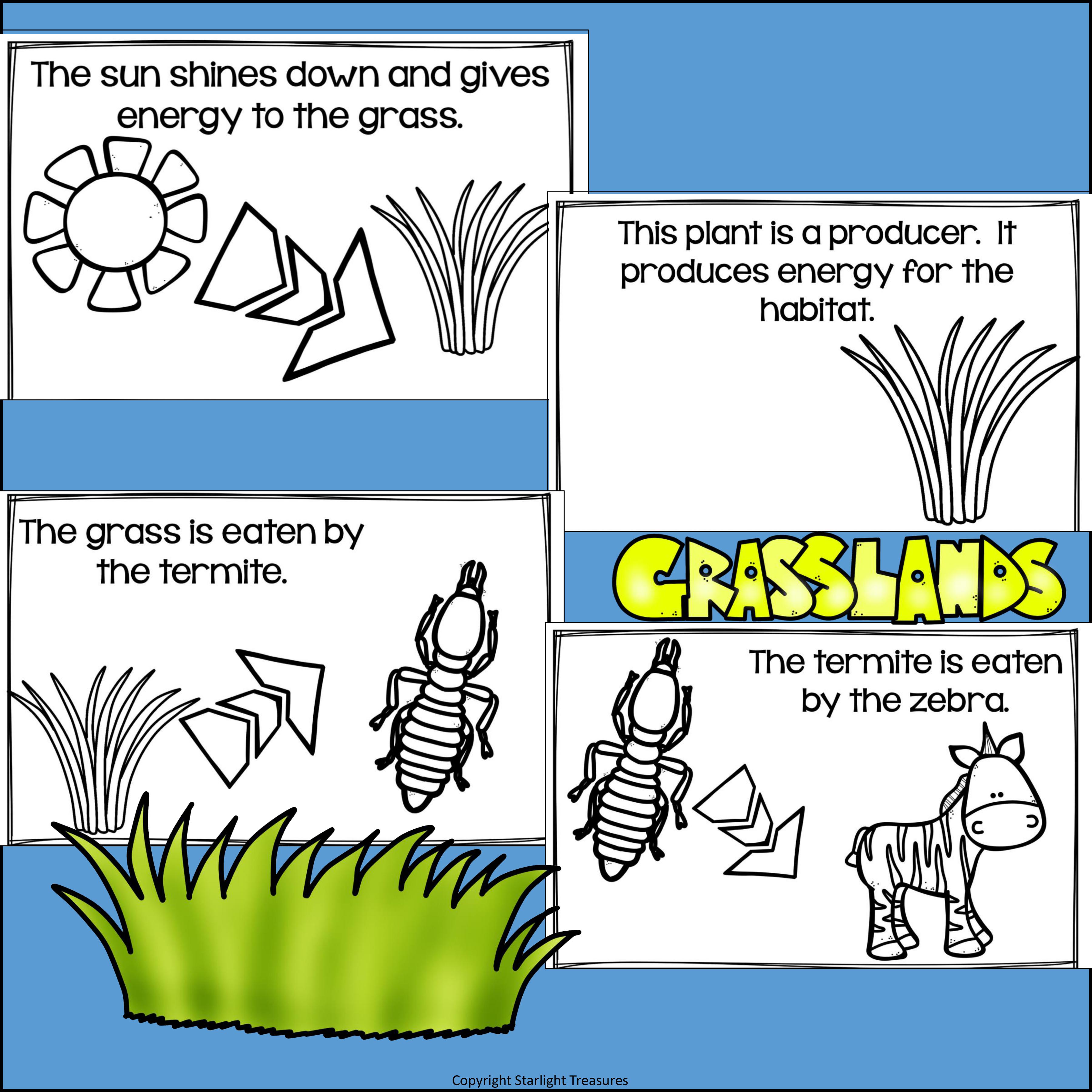 Grasslands Food Chain Mini Book for Early Readers - Food Chains - Classful