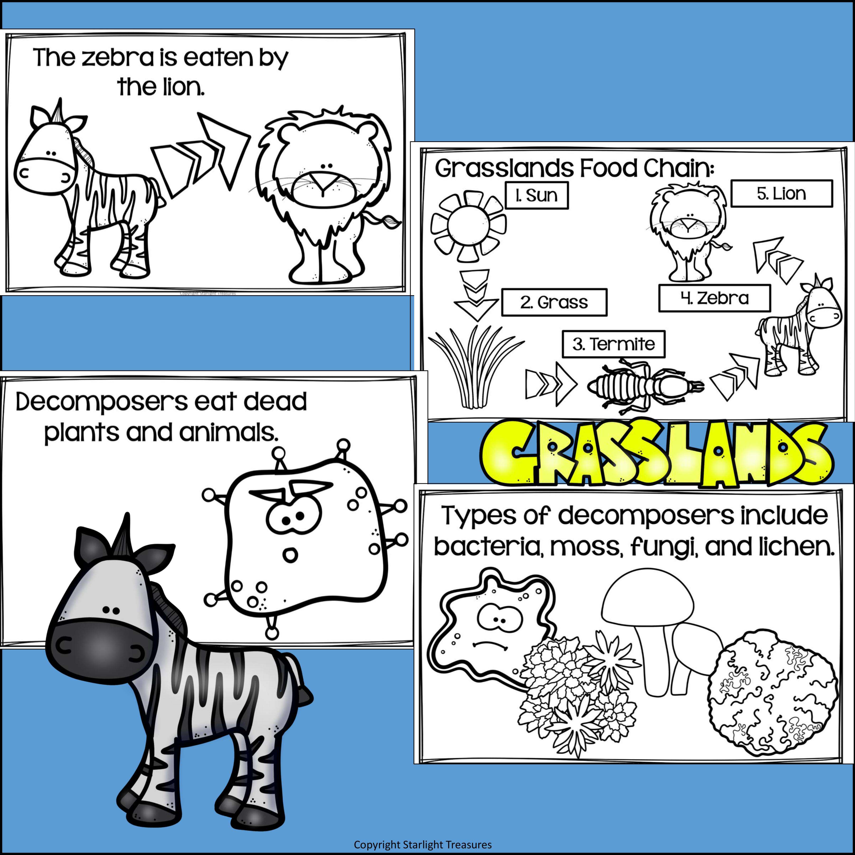 Grasslands Food Chain Mini Book for Early Readers - Food Chains - Classful