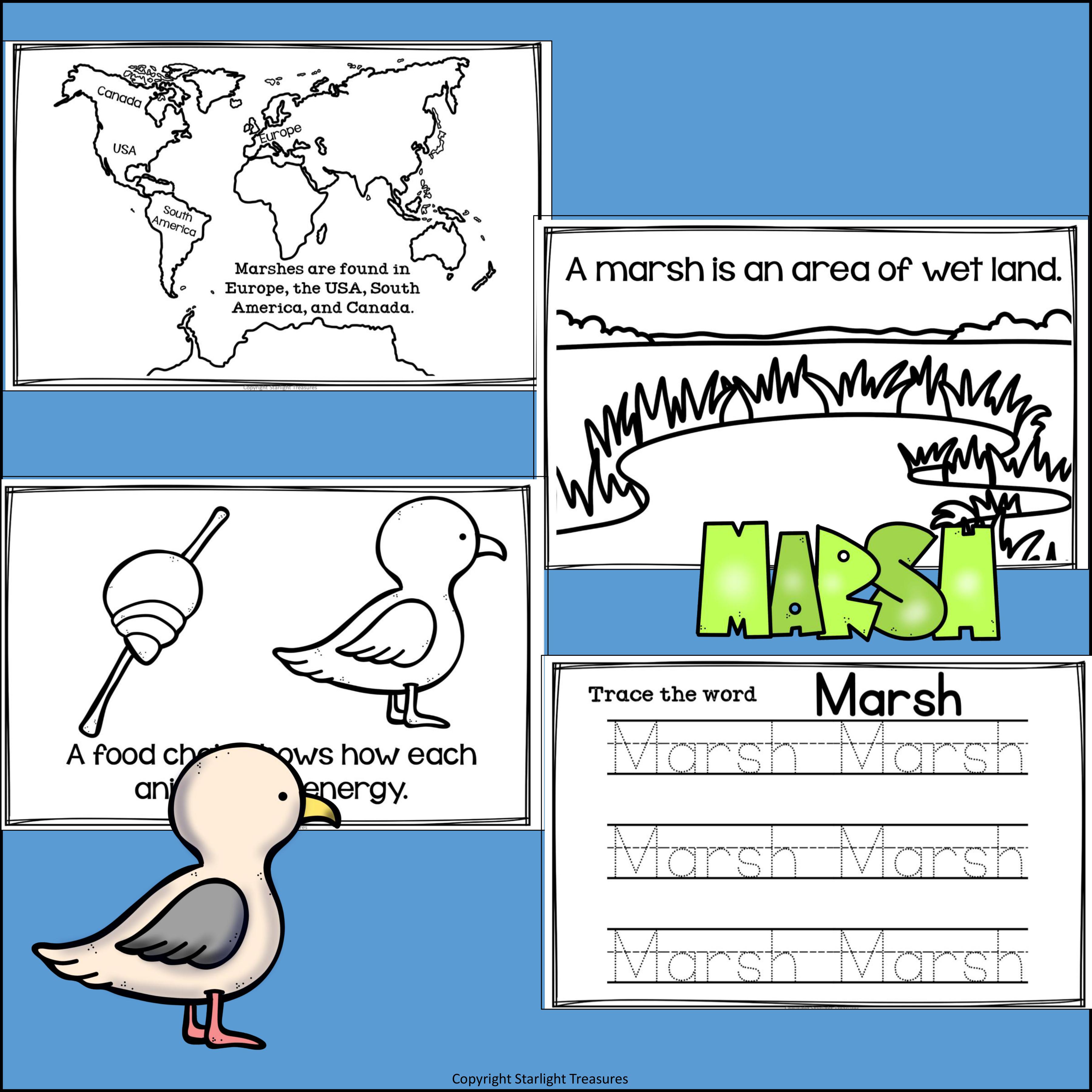 Marsh Food Chain Mini Book for Early Readers - Food Chains - Classful