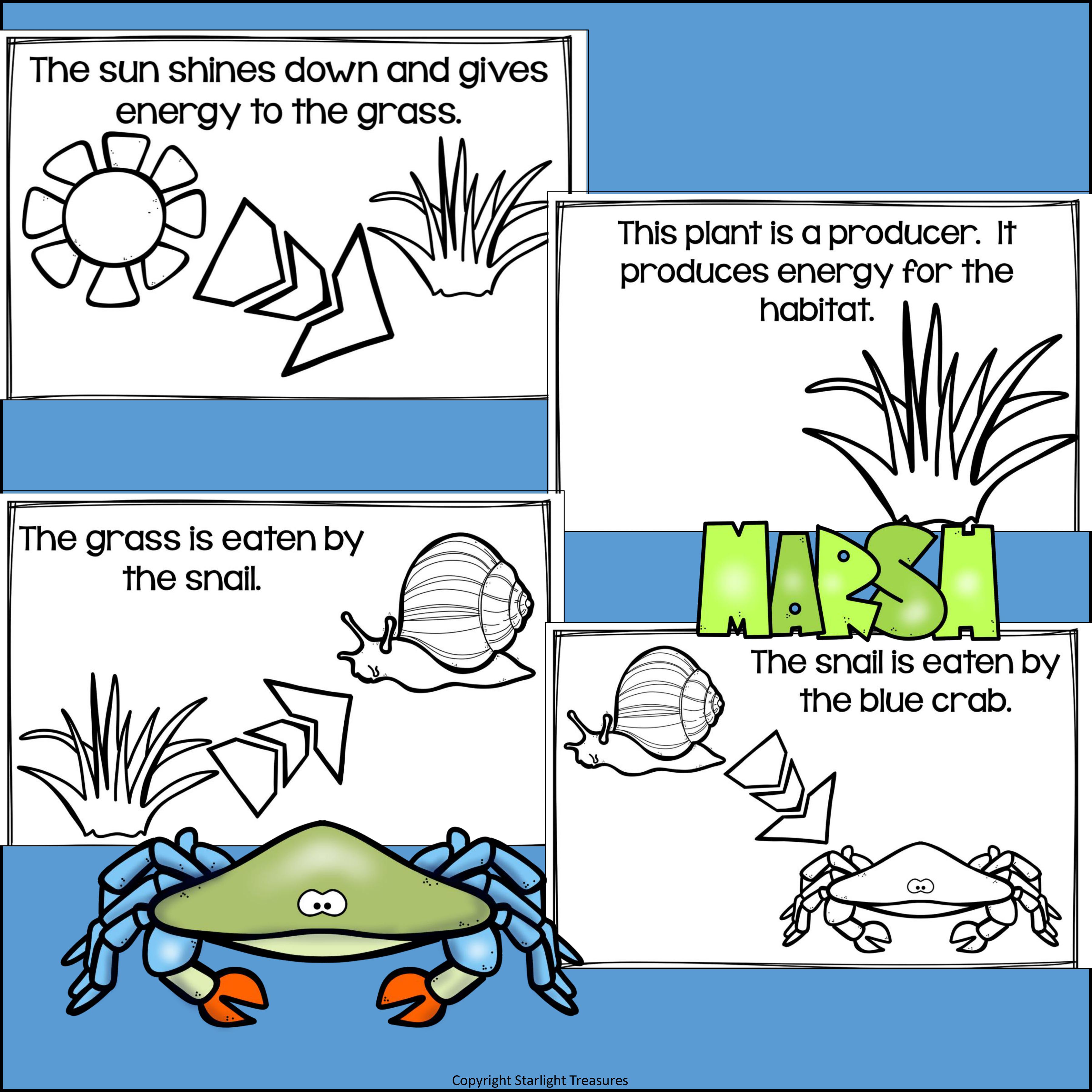 Marsh Food Chain Mini Book for Early Readers - Food Chains - Classful