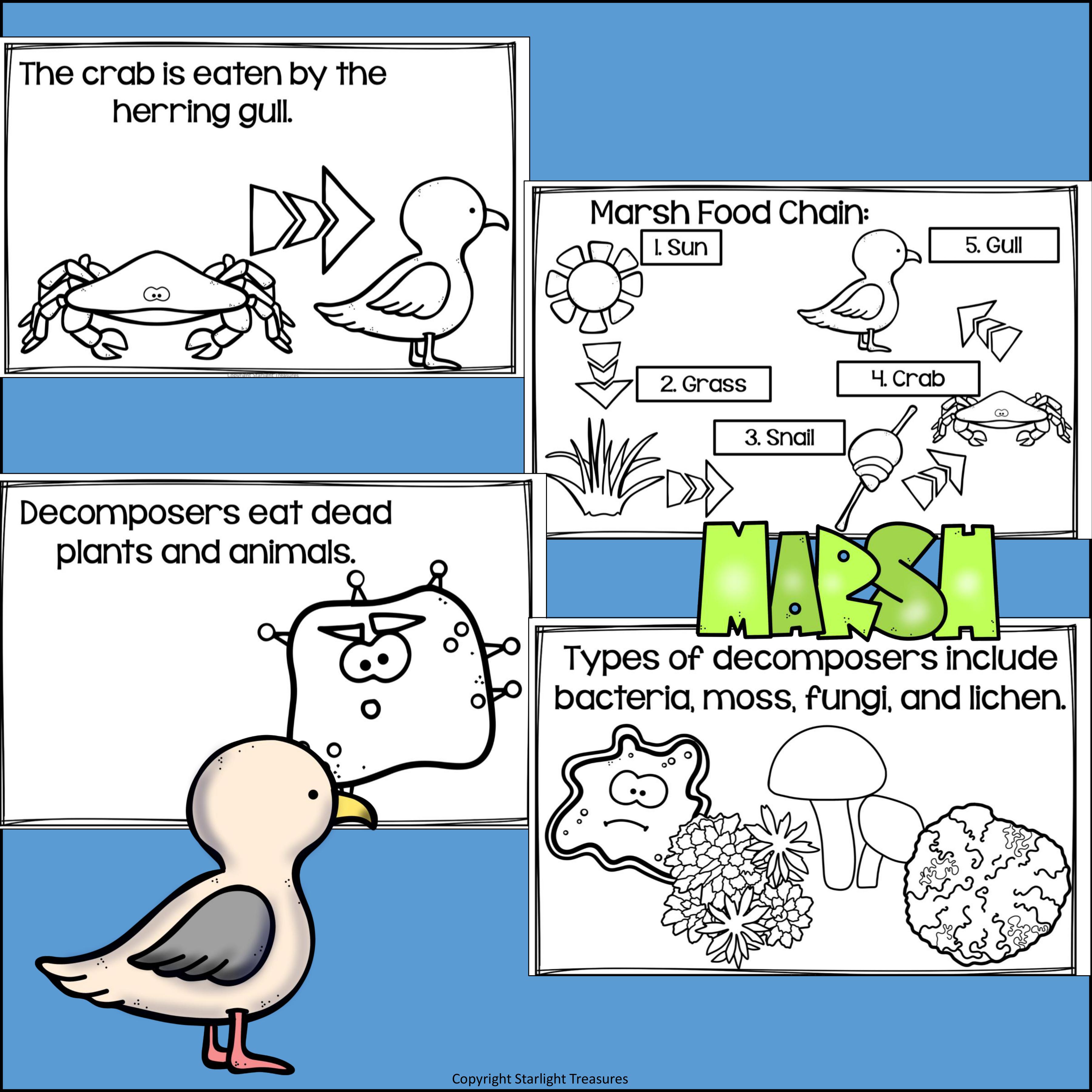 Marsh Food Chain Mini Book for Early Readers - Food Chains - Classful