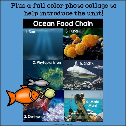 Ocean Food Chain Mini Book for Early Readers - Food Chains - Classful