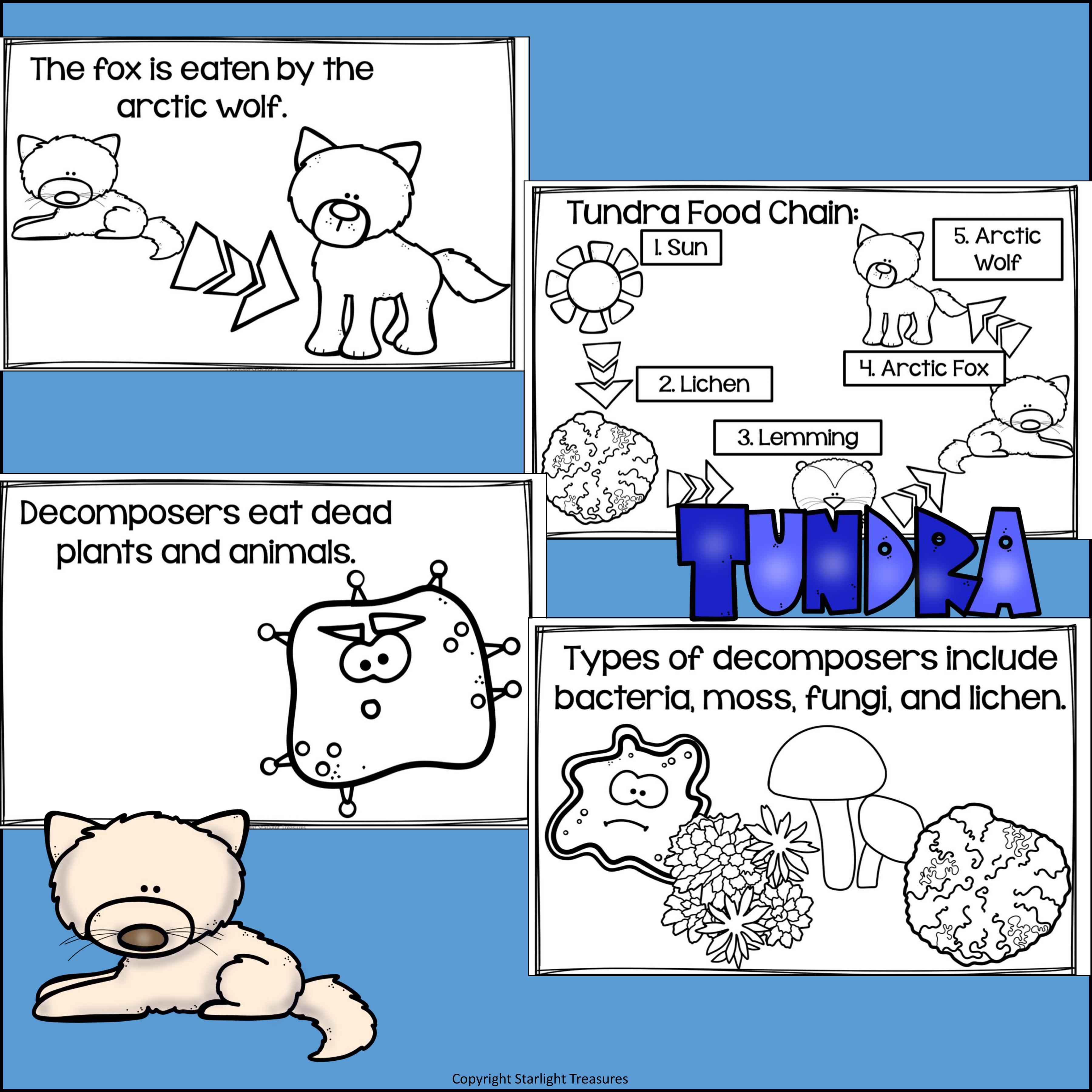 Tundra Food Chain Mini Book for Early Readers - Food Chains - Classful