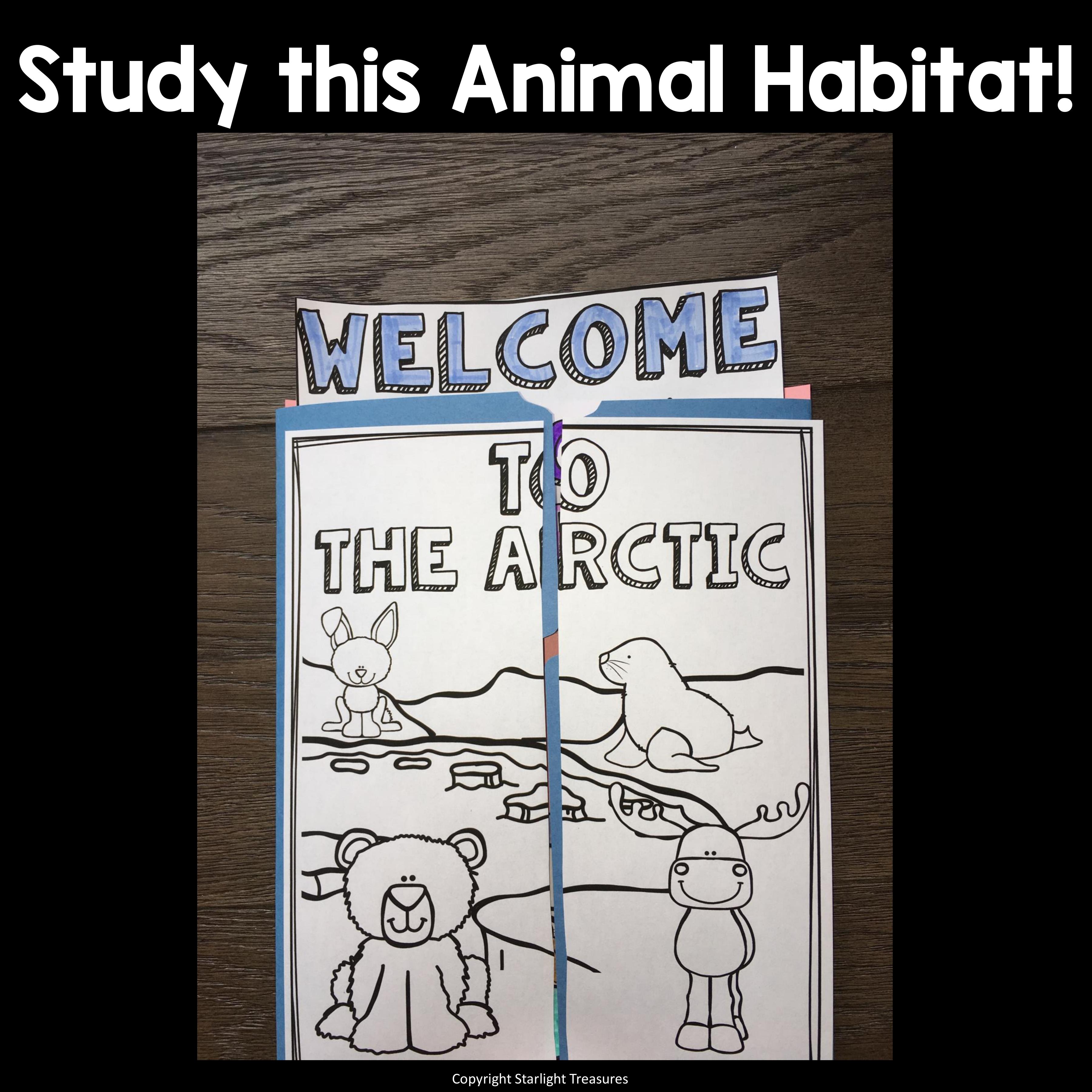 Arctic Lapbook for Early Learners - Animal Habitats - Classful