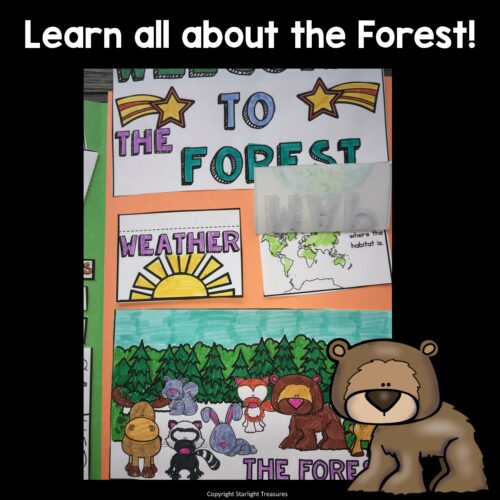 Forest Lapbook for Early Learners - Animal Habitats - Classful