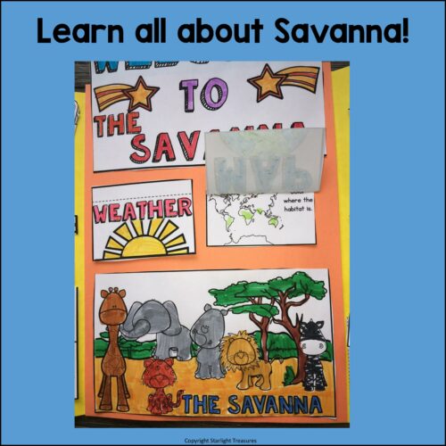 Savanna Lapbook for Early Learners - Animal Habitats - Classful