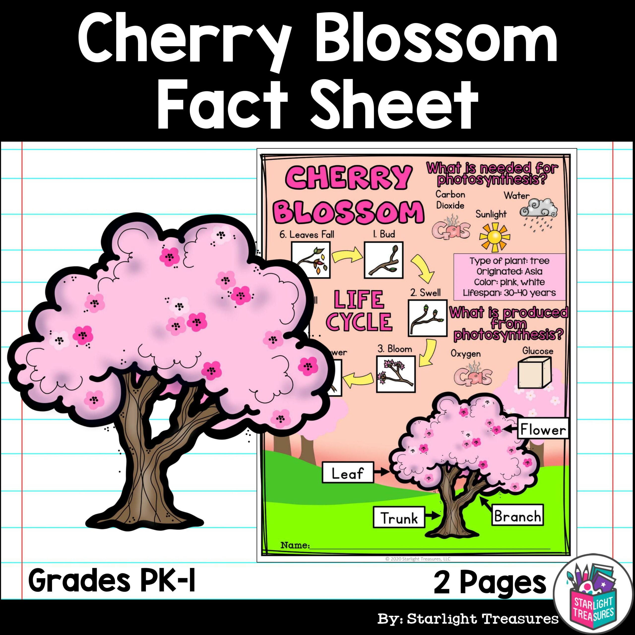 Cherry Blossom Fact Sheet for Early Readers - Plant Study - Classful
