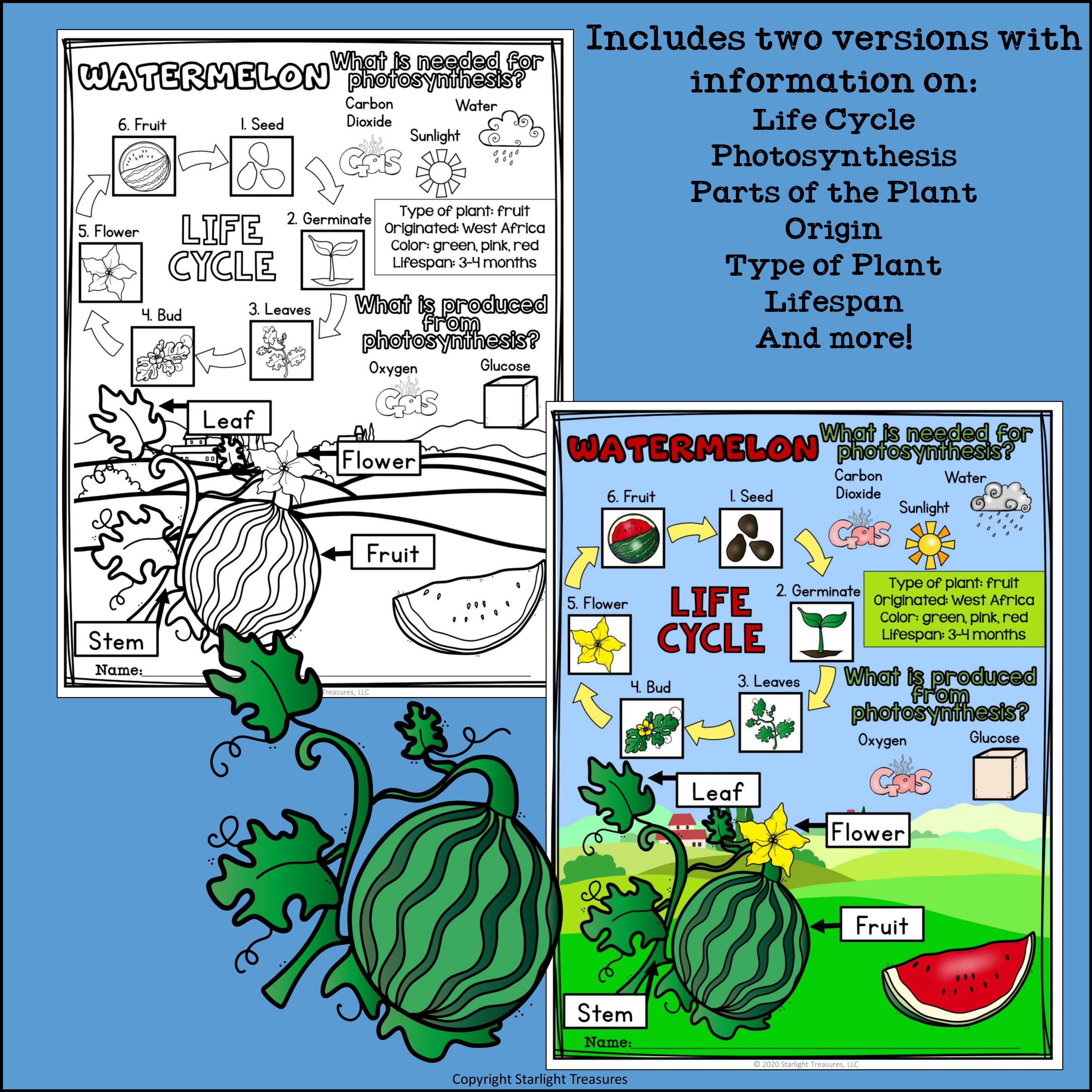 Watermelon Fact Sheet for Early Readers - Plant Study - Classful