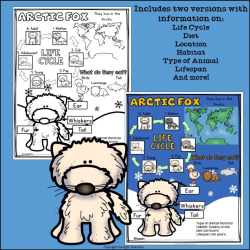 Arctic Fox Fact Sheet for Early Readers - Animal Study - Classful
