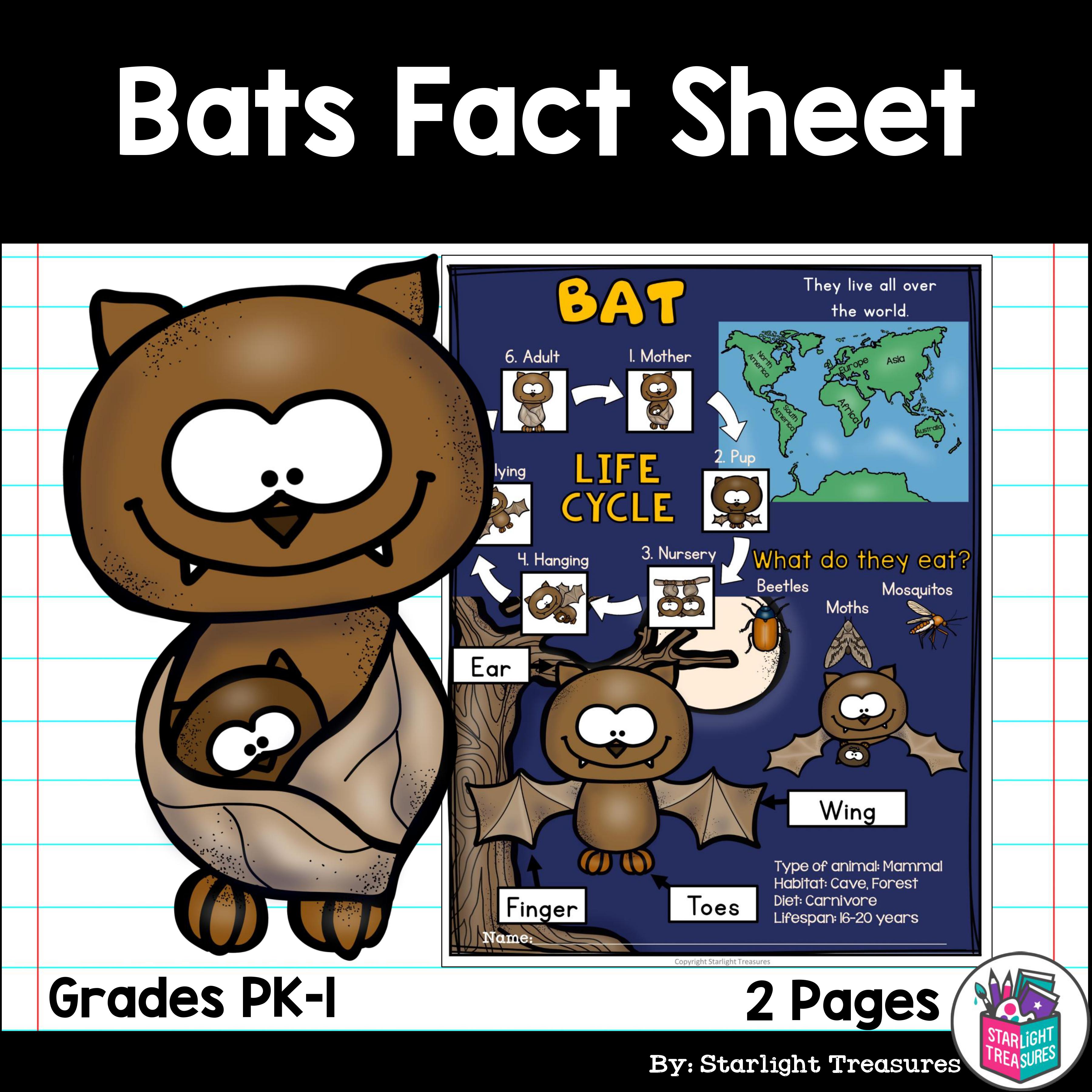 Bat Fact Sheet for Early Readers - Animal Study - Classful