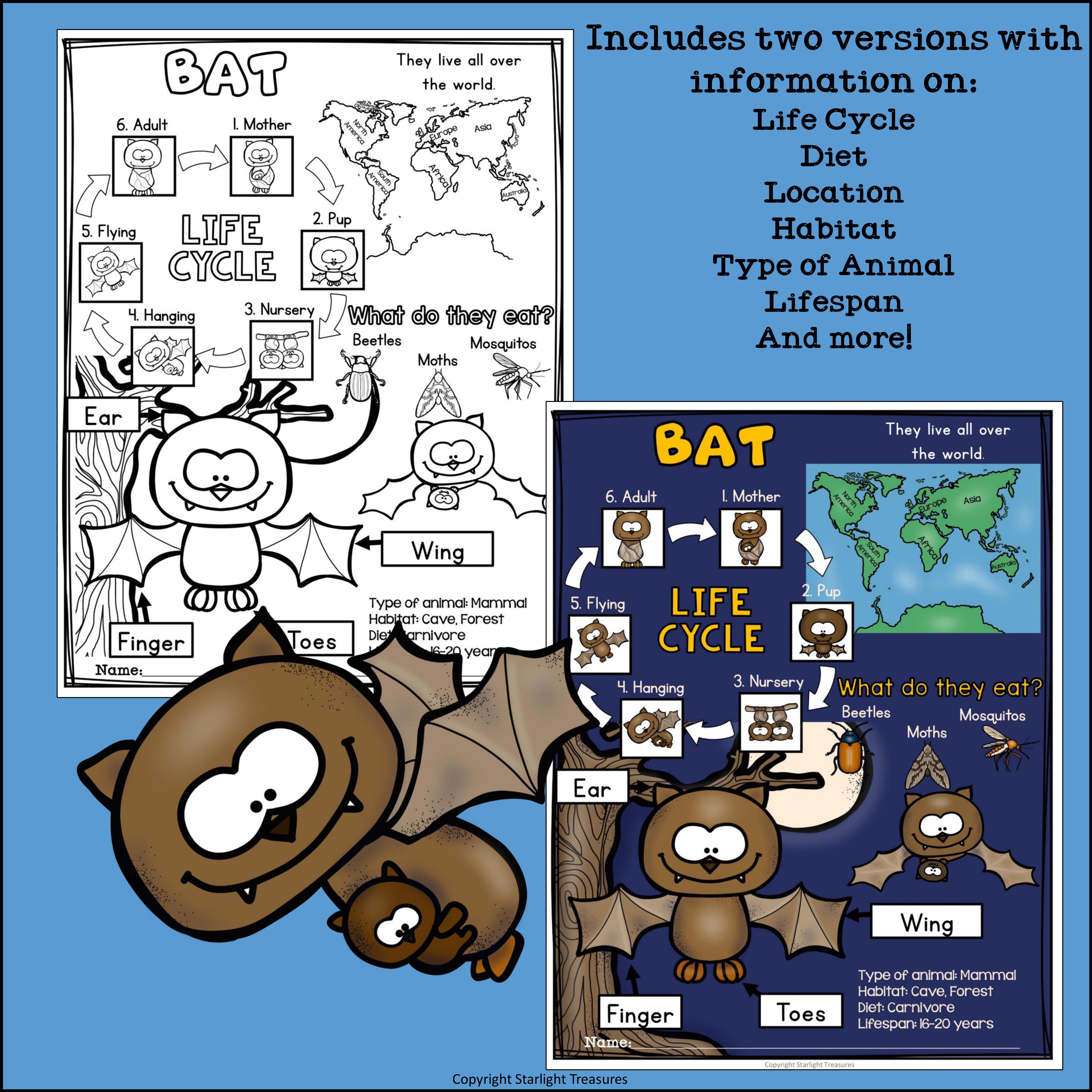 Bat Fact Sheet for Early Readers - Animal Study - Classful