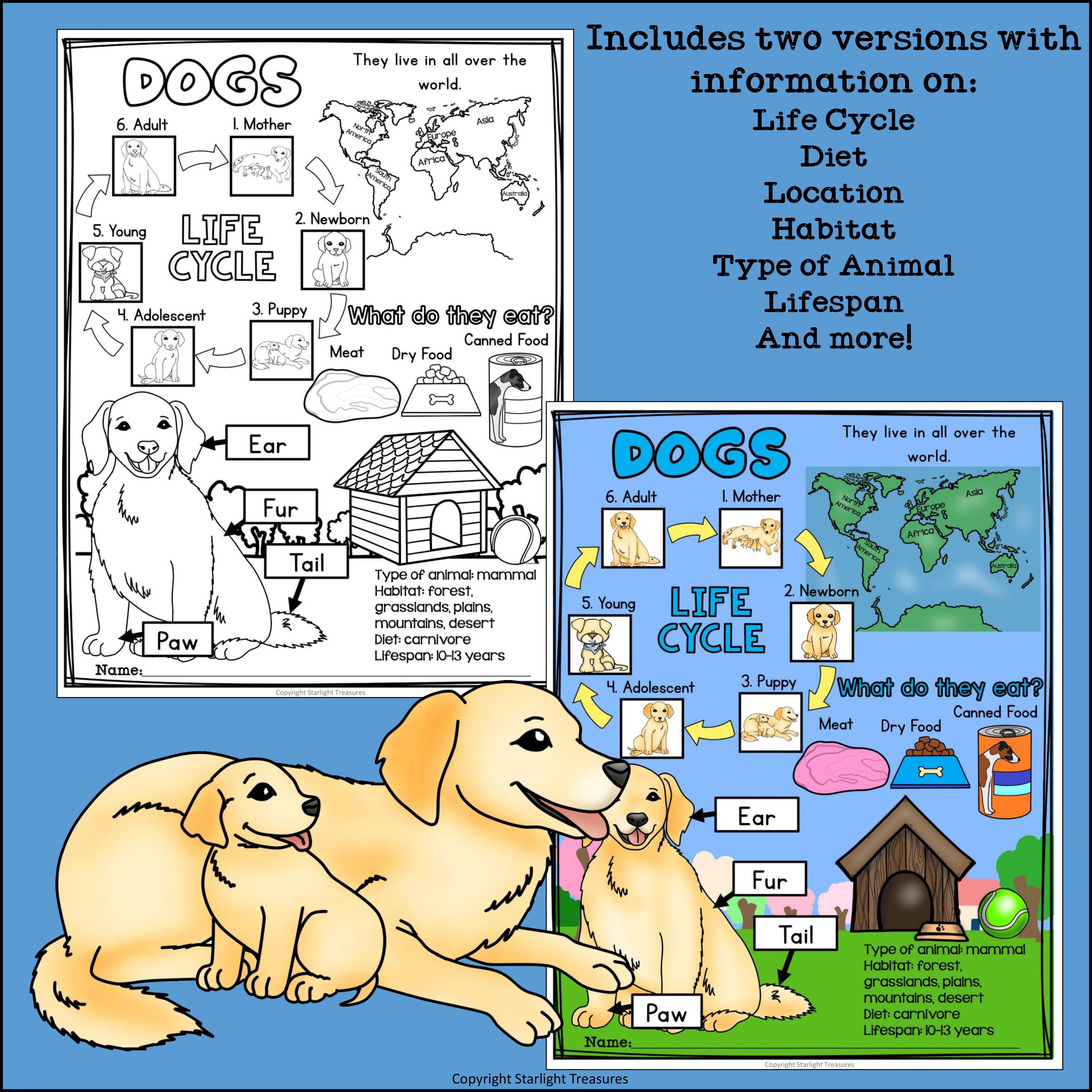 Dogs Fact Sheet for Early Readers - Animal Study - Classful