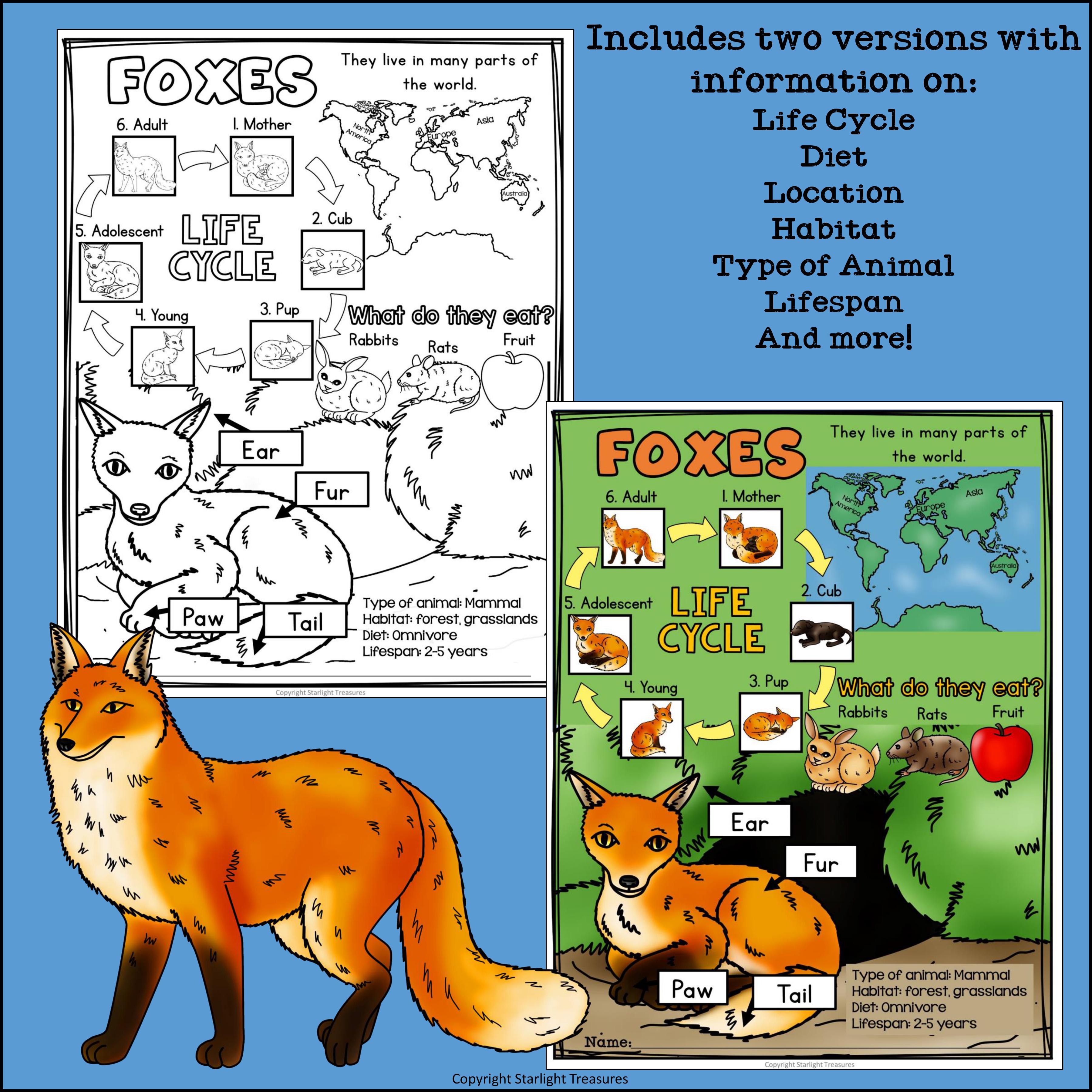 Fox Fact Sheet for Early Readers - Animal Study - Classful