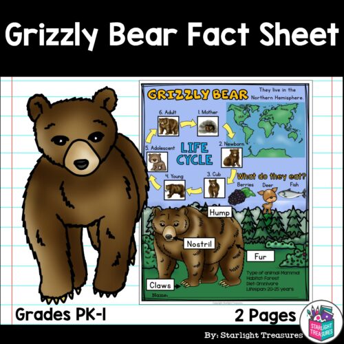 Grizzly Bear Fact Sheet for Early Readers - Animal Study - Classful