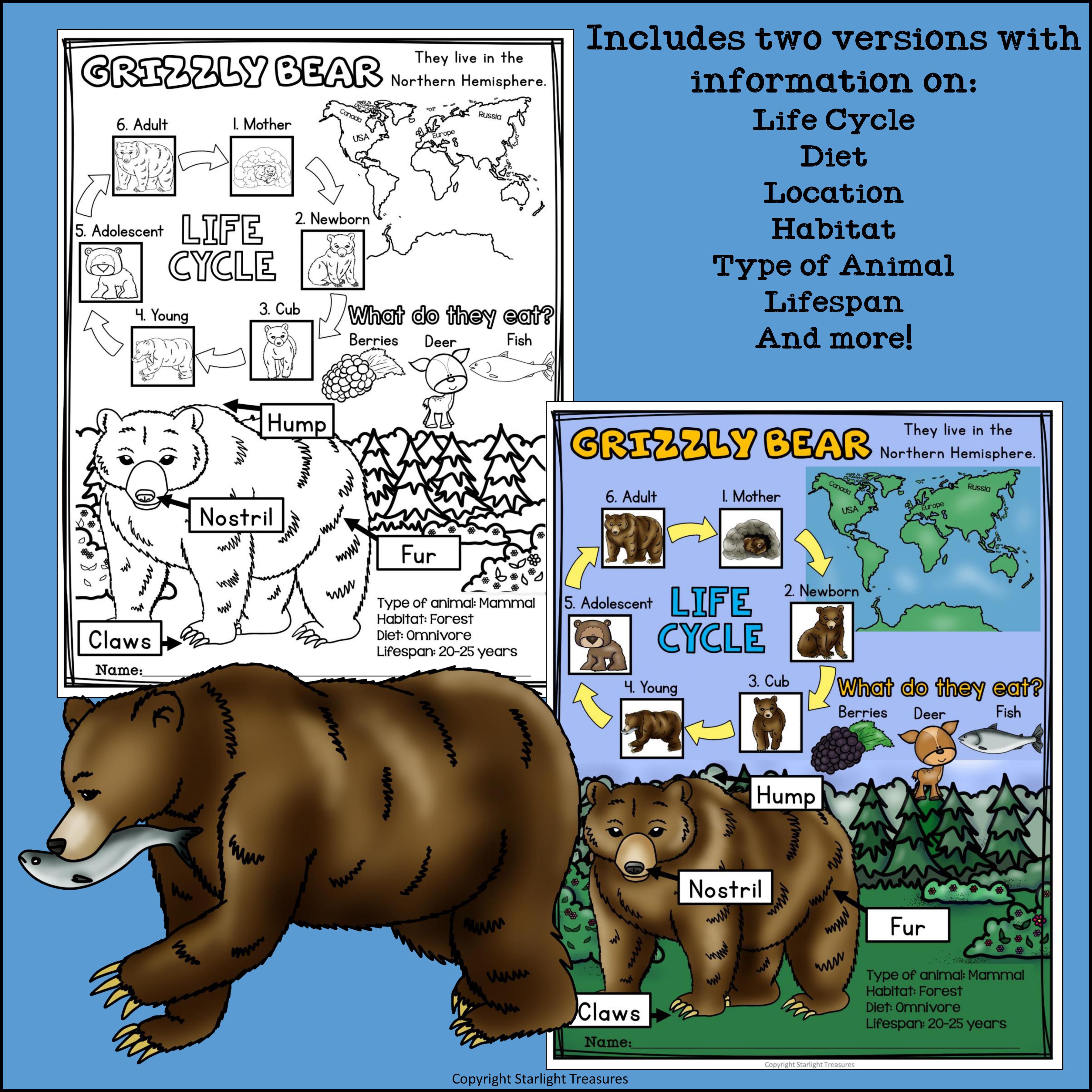 Grizzly Bear Fact Sheet for Early Readers - Animal Study - Classful