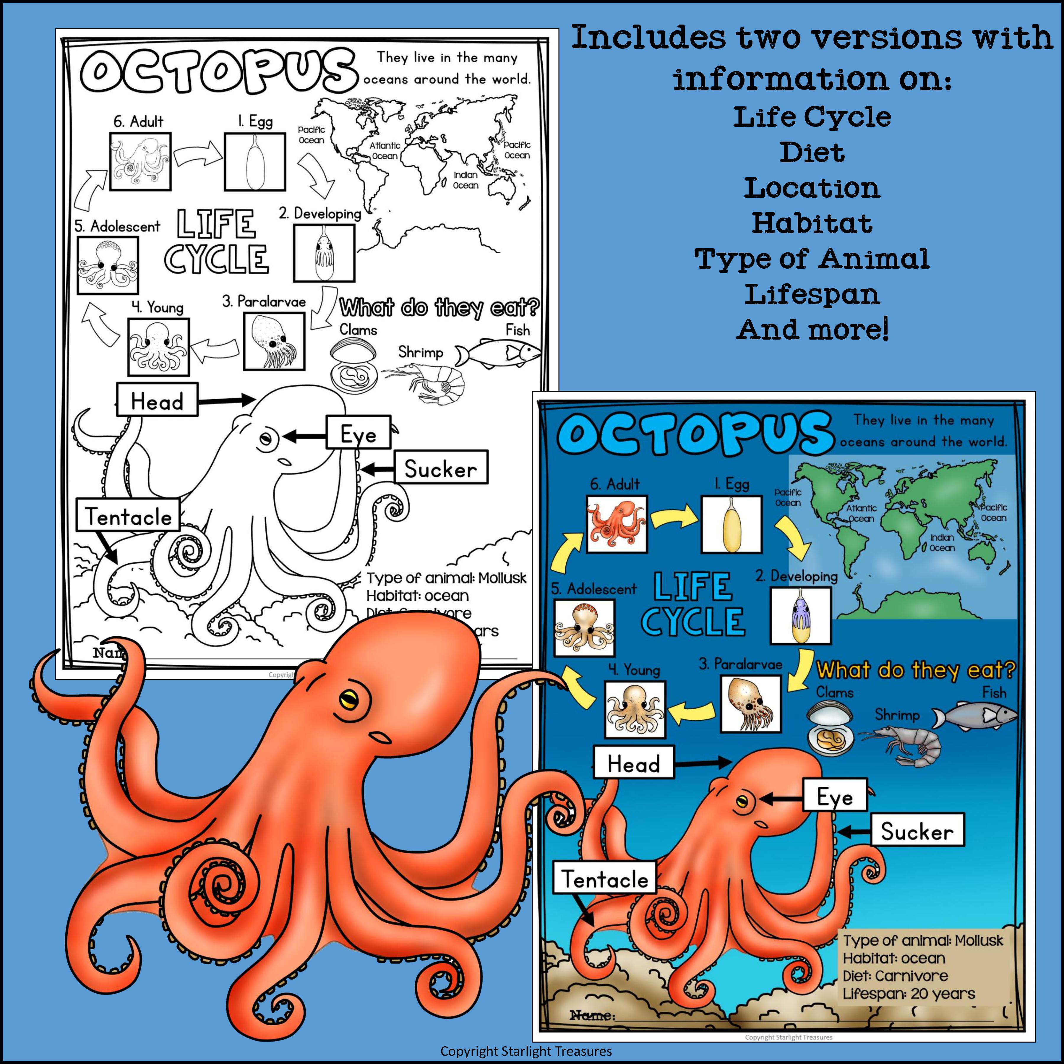 Octopus Fact Sheet for Early Readers - Animal Study - Classful
