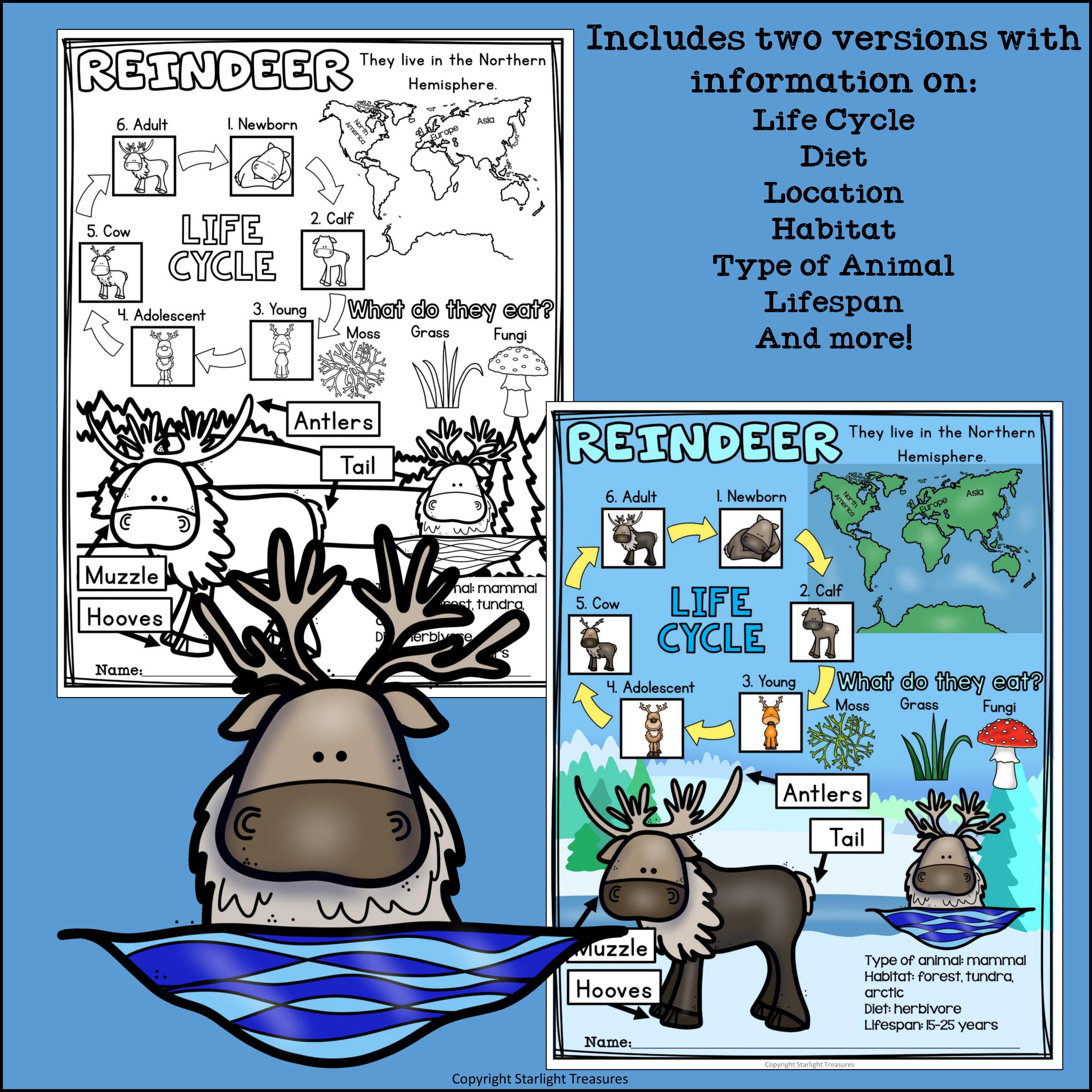 Reindeer Fact Sheets for Early Readers - Animal Study - Classful